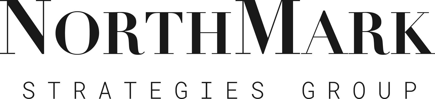 NorthMark Logo